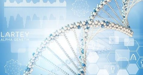EPIGENETIK: Einfach erklärt. - Annette Lartey
